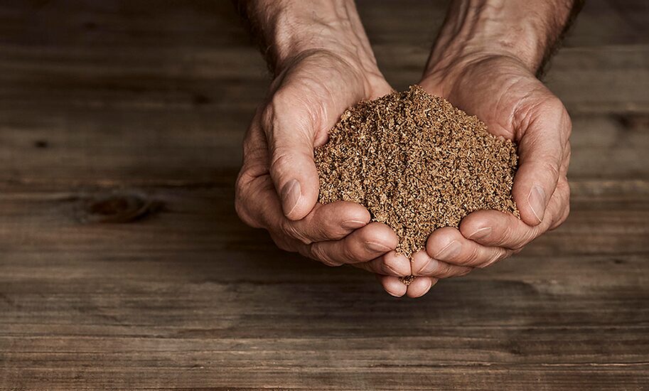 Food - Biograin